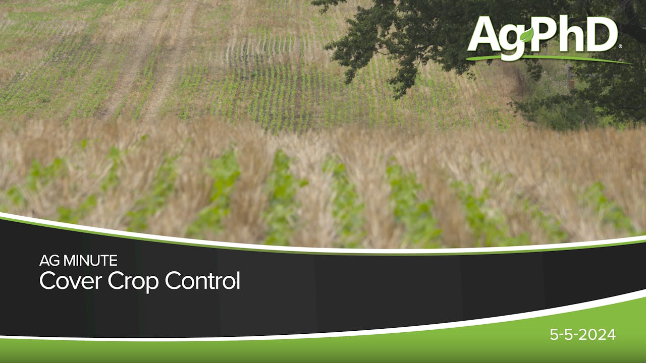 Cover Crop Control | Ag PhD - 2024 - AcresTV