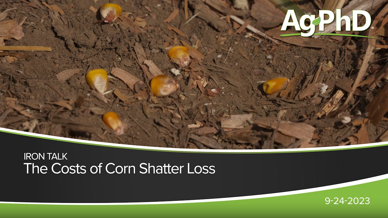 The Costs of Corn Shatter Loss | Ag PhD - 2023 - AcresTV