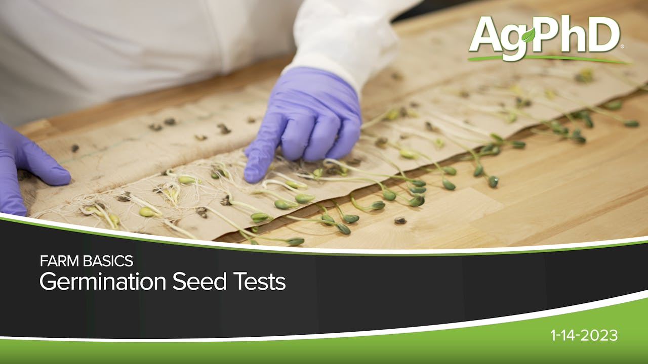 Germination Seed Tests | Ag PhD - 2024 - AcresTV