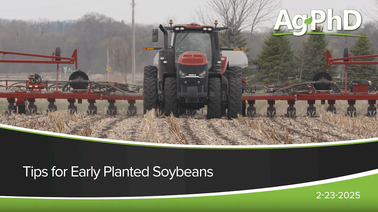 Tips for Early Planted Soybeans | Ag PhD - 2025 - AcresTV