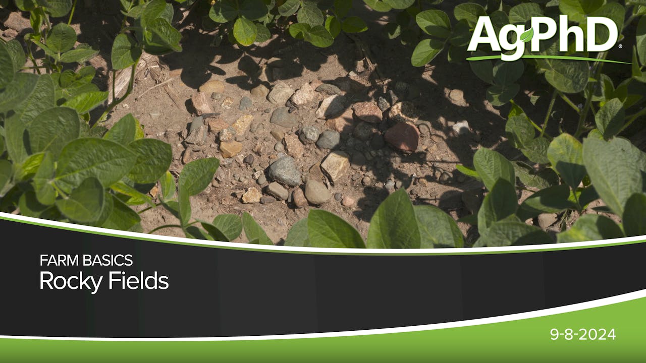 Rocky Fields | Ag PhD - 2024 - AcresTV