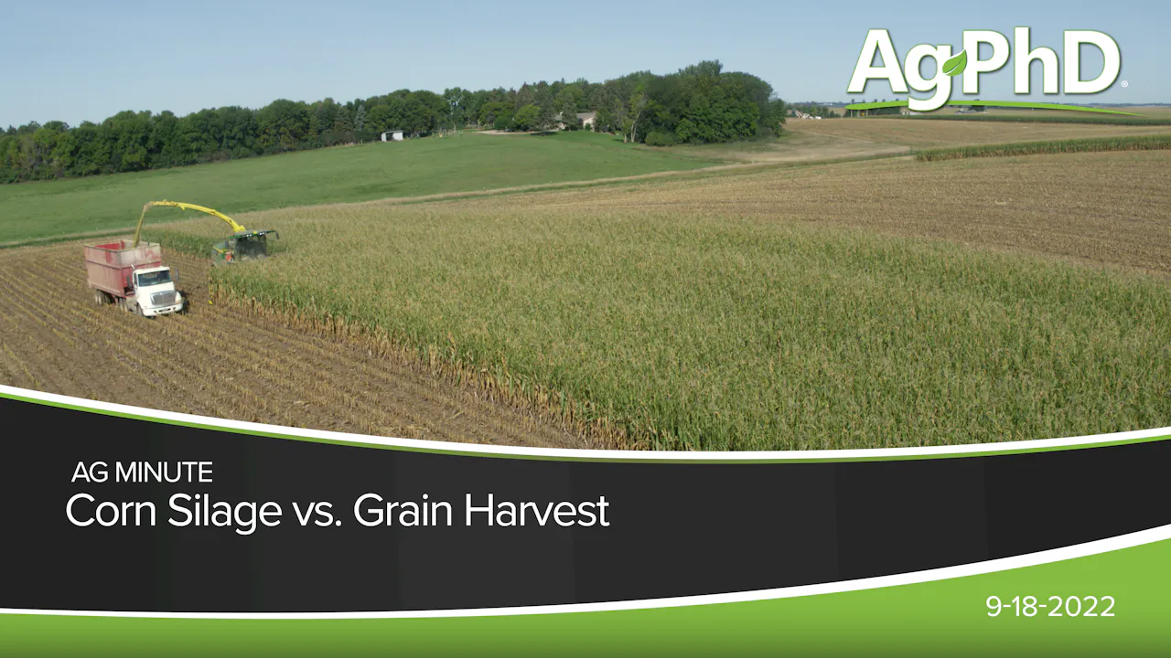 Corn Silage vs. Grain Harvest | Ag PhD - 2022 - AcresTV