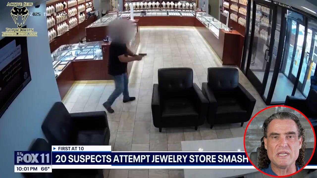 Was This Warning Shot Smart? - Active Self Protection