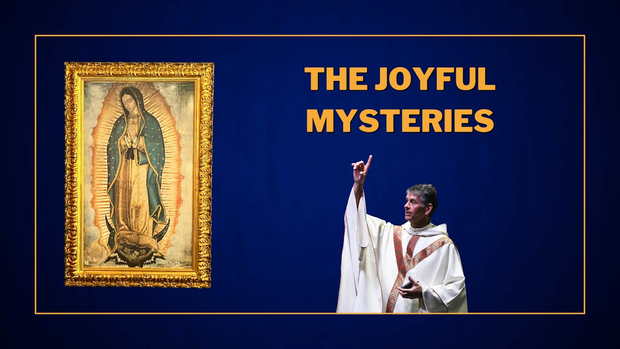 The Joyful Mysteries - Pray the Rosary - ACTS XXIX