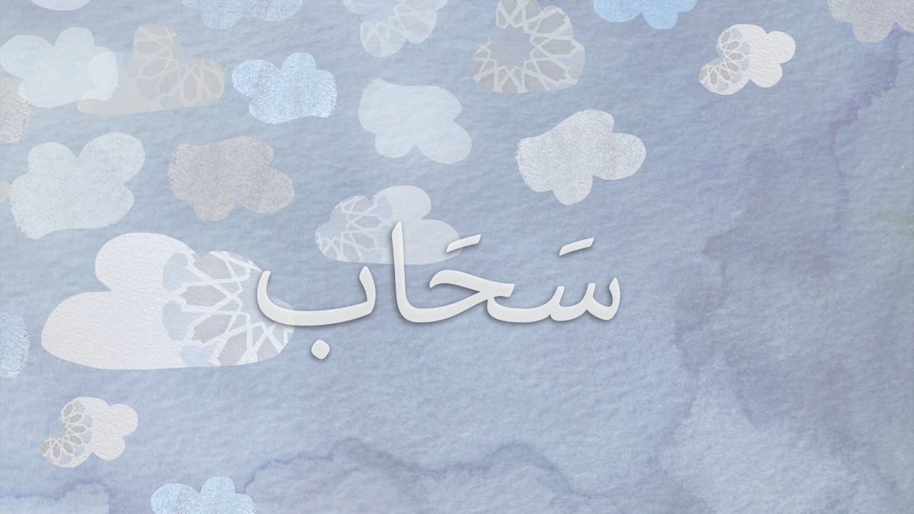 12. Seen - Alchemiya