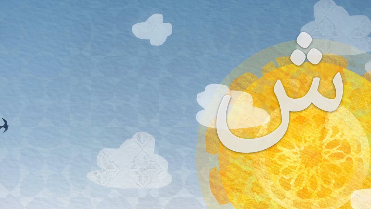 13. Sheen - Alchemiya