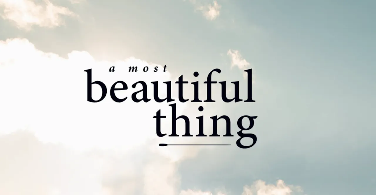 A Most Beautiful Thing