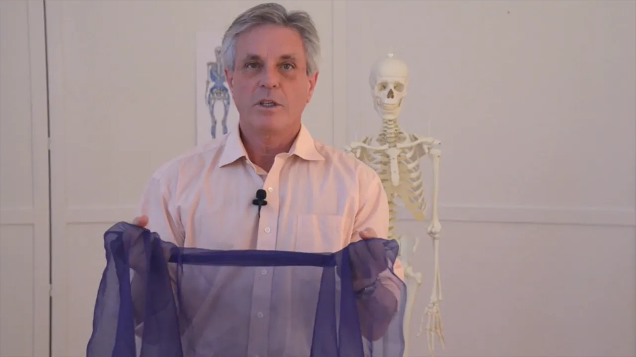 Fascia In Movement 1 - Fascia in Movement - Anatomy Trains Video ...