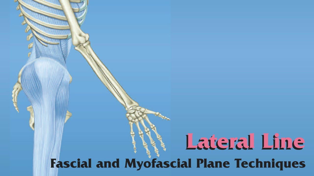 The Lateral Line Full Technique video - The Lateral Line - Anatomy ...