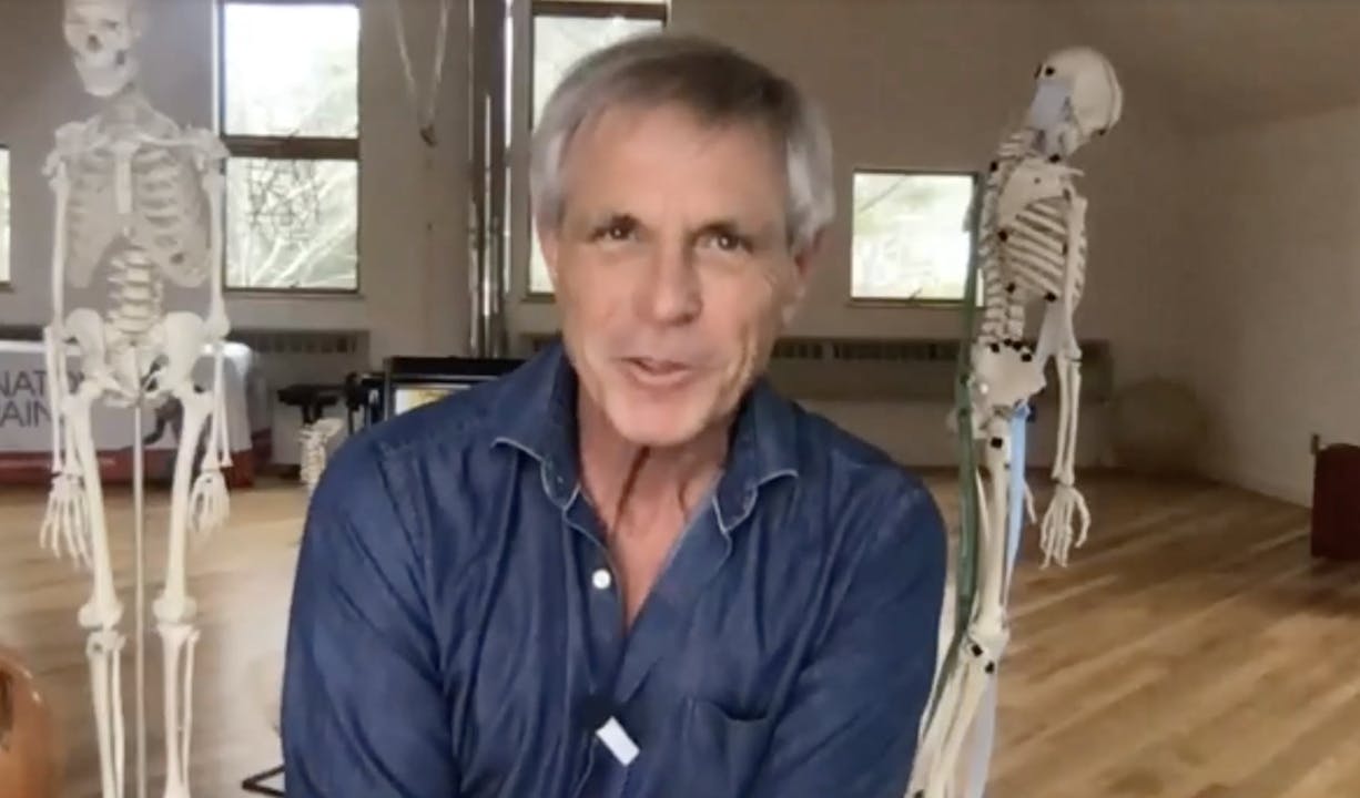 ATSF2 Live Online The Superficial Front Line and Back Line - Anatomy ...