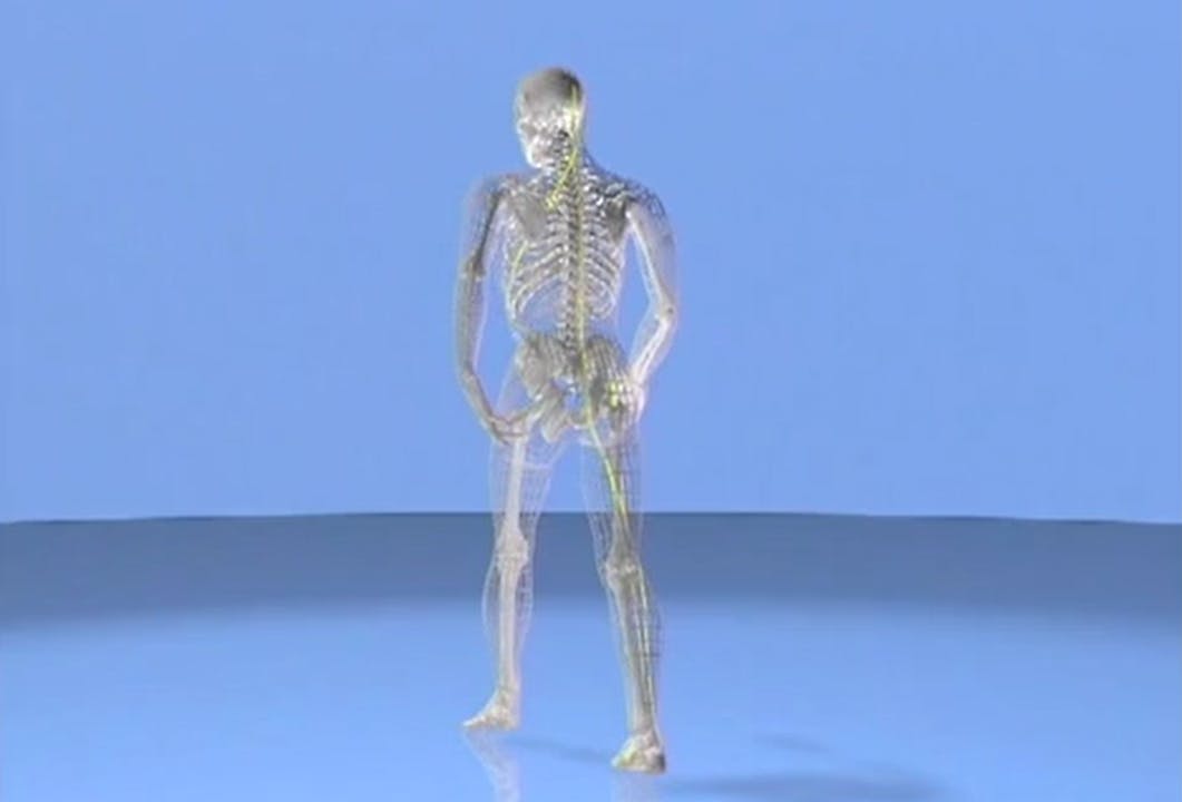 The Spiral Line Full Technique Video - The Spiral Line - Anatomy Trains ...