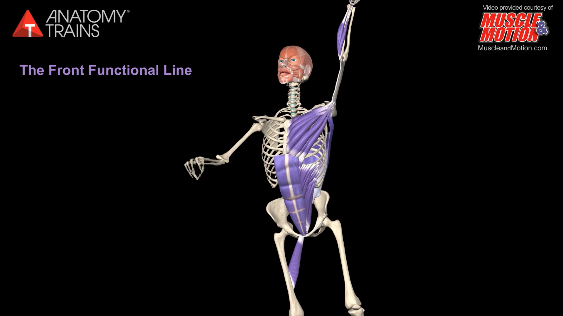 The Functional Lines - Anatomy Trains Video Subscription