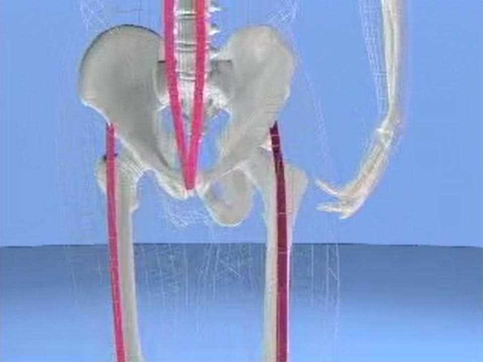 Introduction to Superficial Front Line - The Superficial Front Line ...