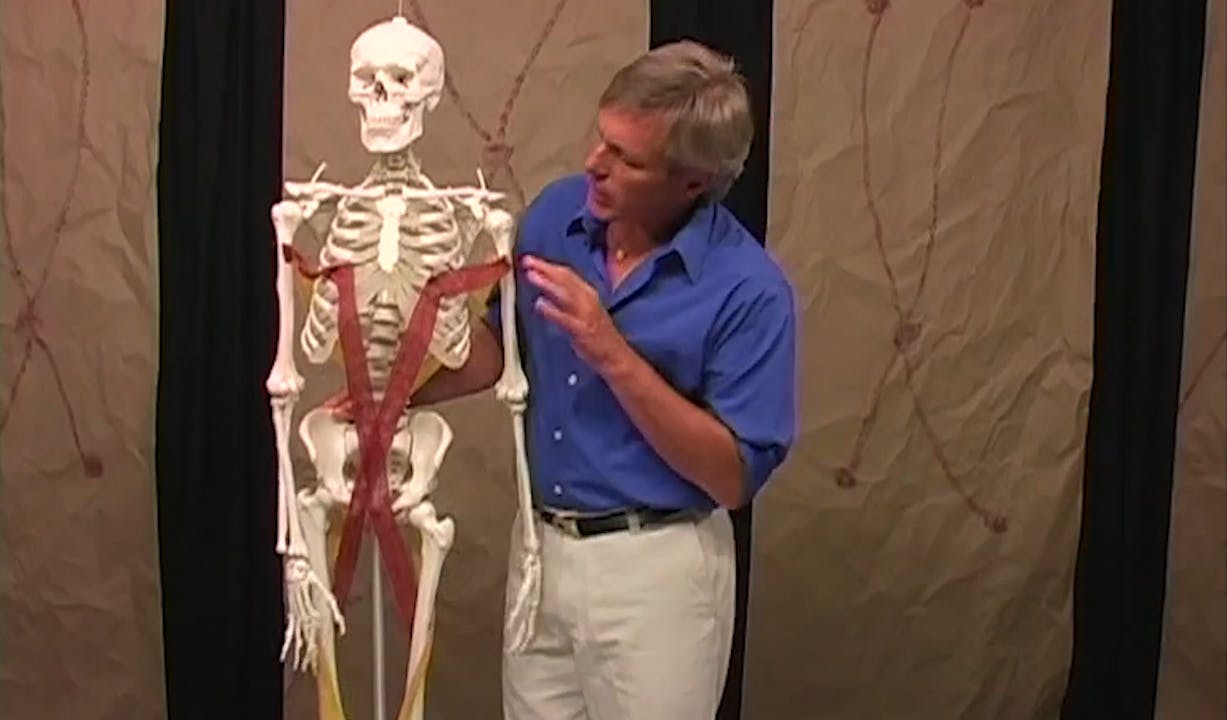 The Shoulder and Arm Lines - Full Technique Video - The Arm Lines ...