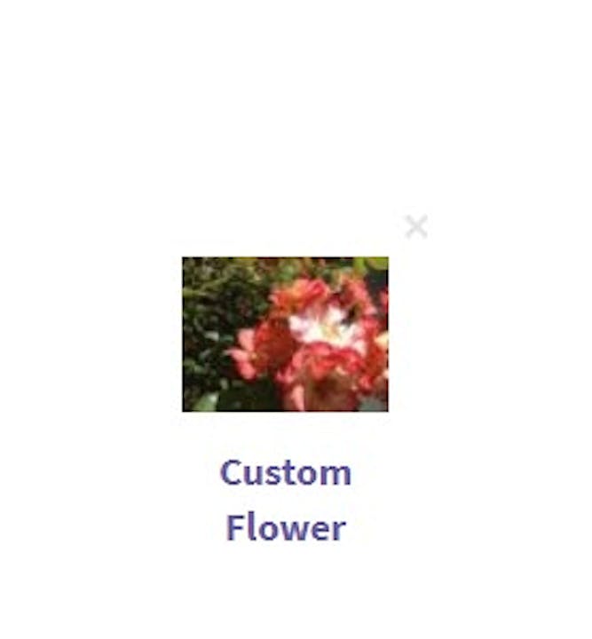 Leaving Virtual Flowers For People In Your Past - Ancestry Academy