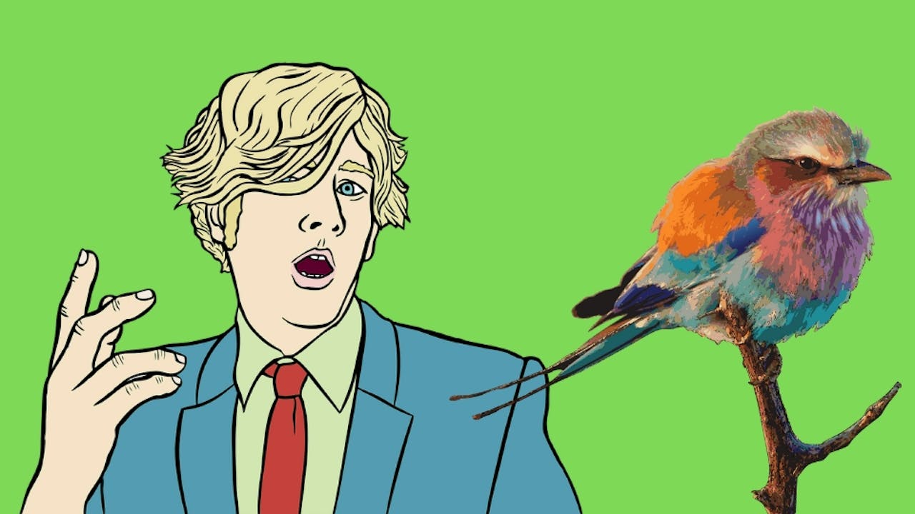 Dicky bird - ANGLOPOD | English ON DEMAND