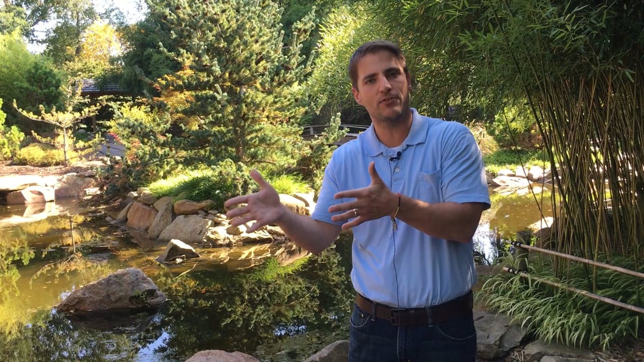 Unit 2 Review - Unit 2 - Answers.tv