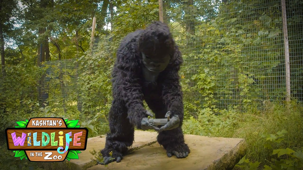 S2E3 Zoo Rules - Season 2 - Answers.tv