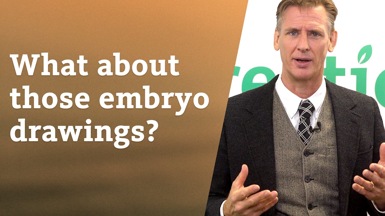 S4E21 What about those embryo drawings? - Season 4 - Answers.tv