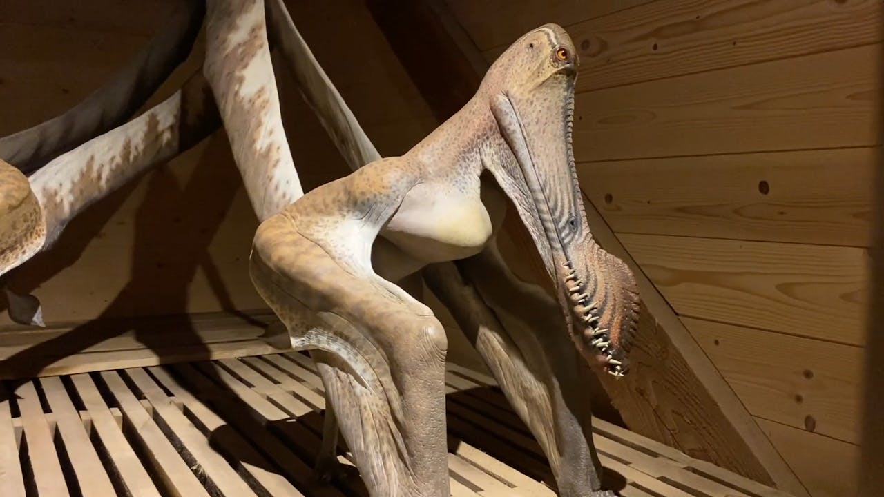 S1E33 Animal Encounters of a Different Kind: Inside the Ark - Season 1 ...