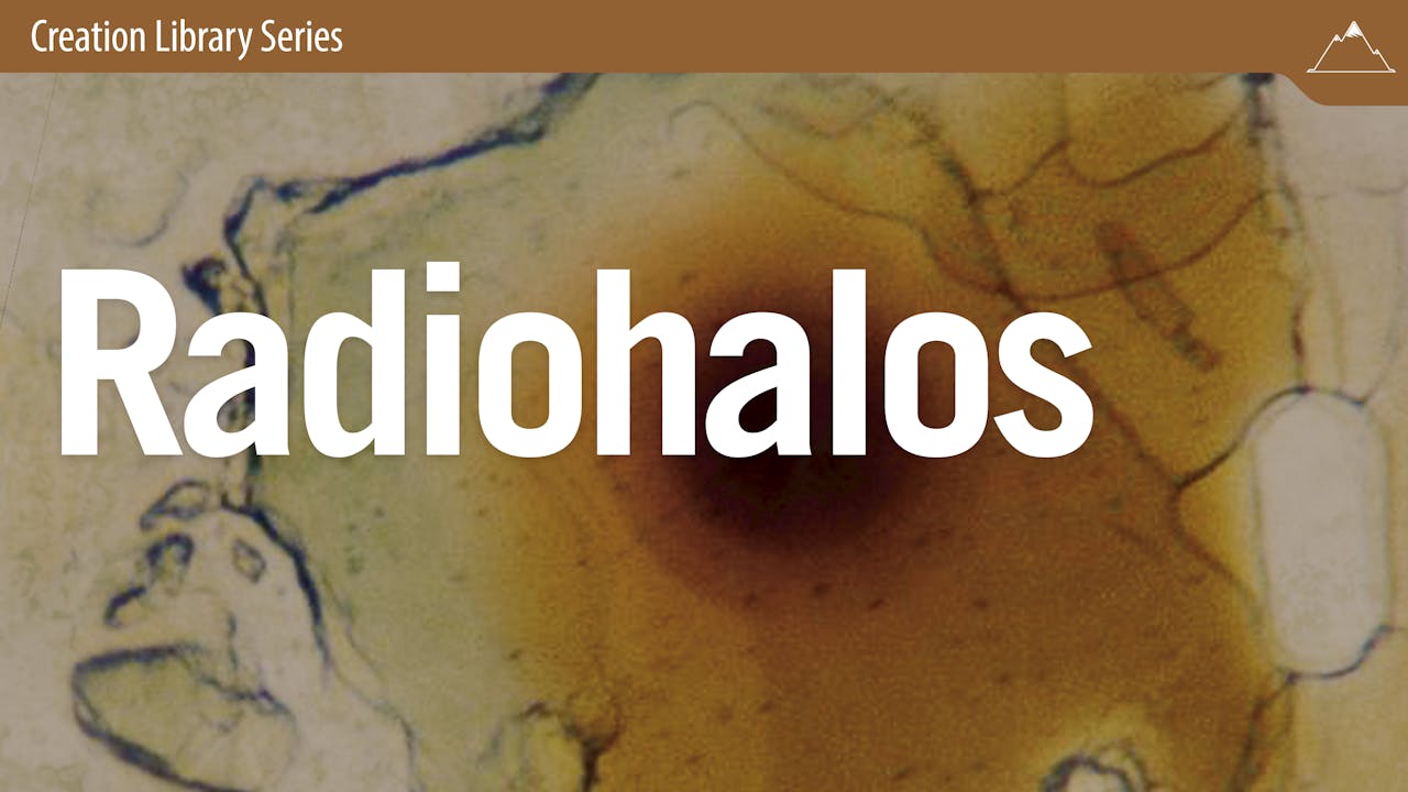 Radiohalos - Dr. Andrew Snelling - Geology with Dr. Snelling - Answers.tv