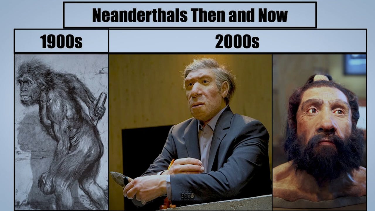 Genesis Impact Clip - Neanderthals - Answers.tv