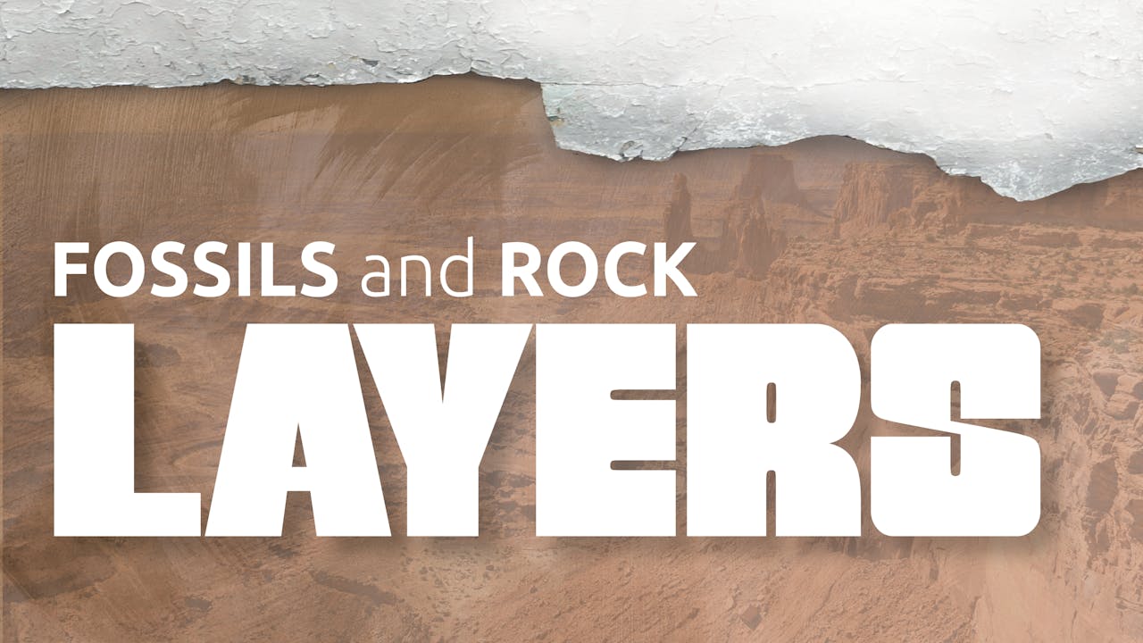 Dr. Andrew Snelling: Fossils & Rock Layers: The Flood, not Evolution & Millions - Geology with ...