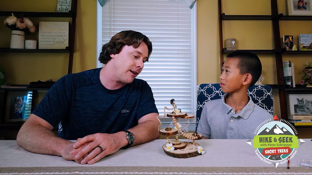 S2E4 Jumping Spiders - Season 2 - Answers.tv