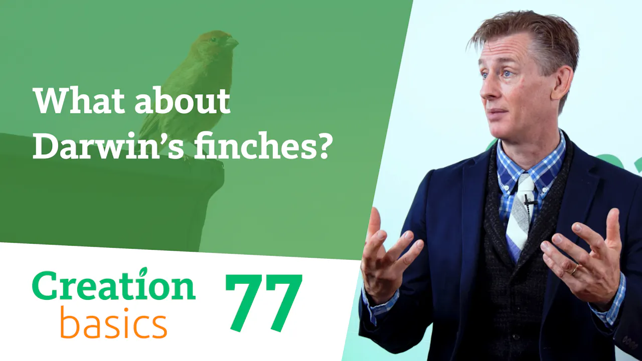S1E77 What about Darwin's finches? - Season 1 - Answers.tv