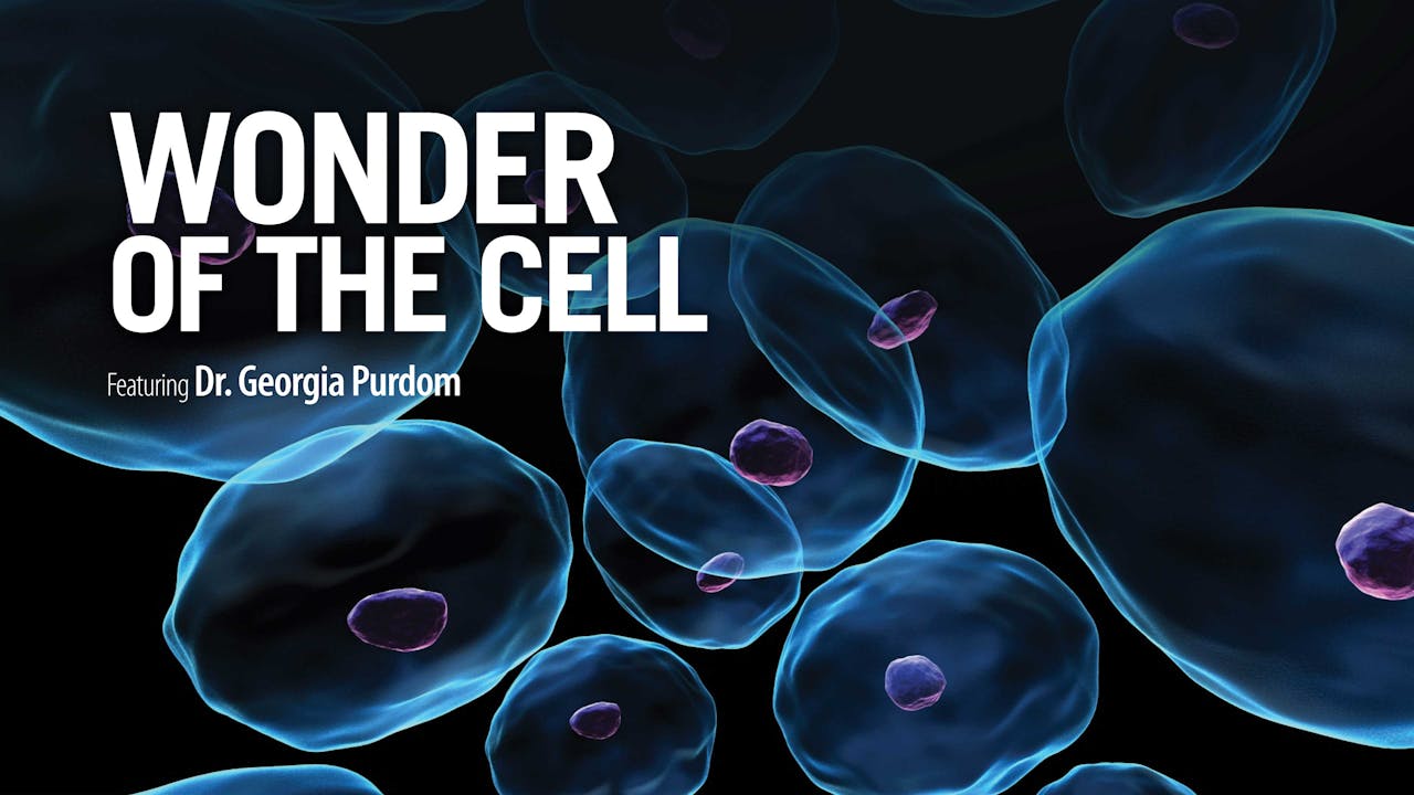 Wonder of the Cell - Dr. Georgia Purdom - Biology with Dr. Purdom ...