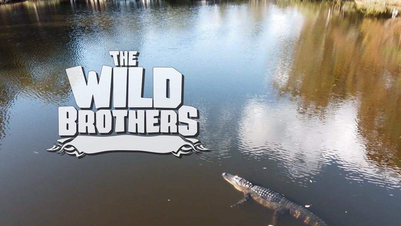 S3E18 Bayou Beast - Season 3: The Wild Way - Answers.tv