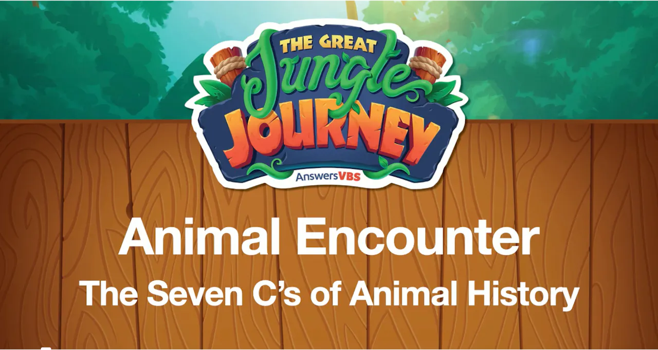 01 - Karina Altman: Animal Encounter - Jungle Animals - 2024 VBS ...