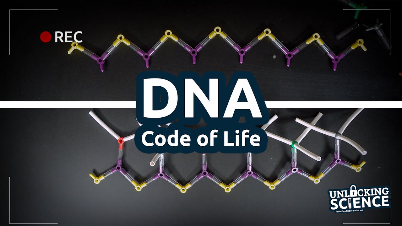 S4E7 DNA: Code of Life - Season 4 - Answers.tv