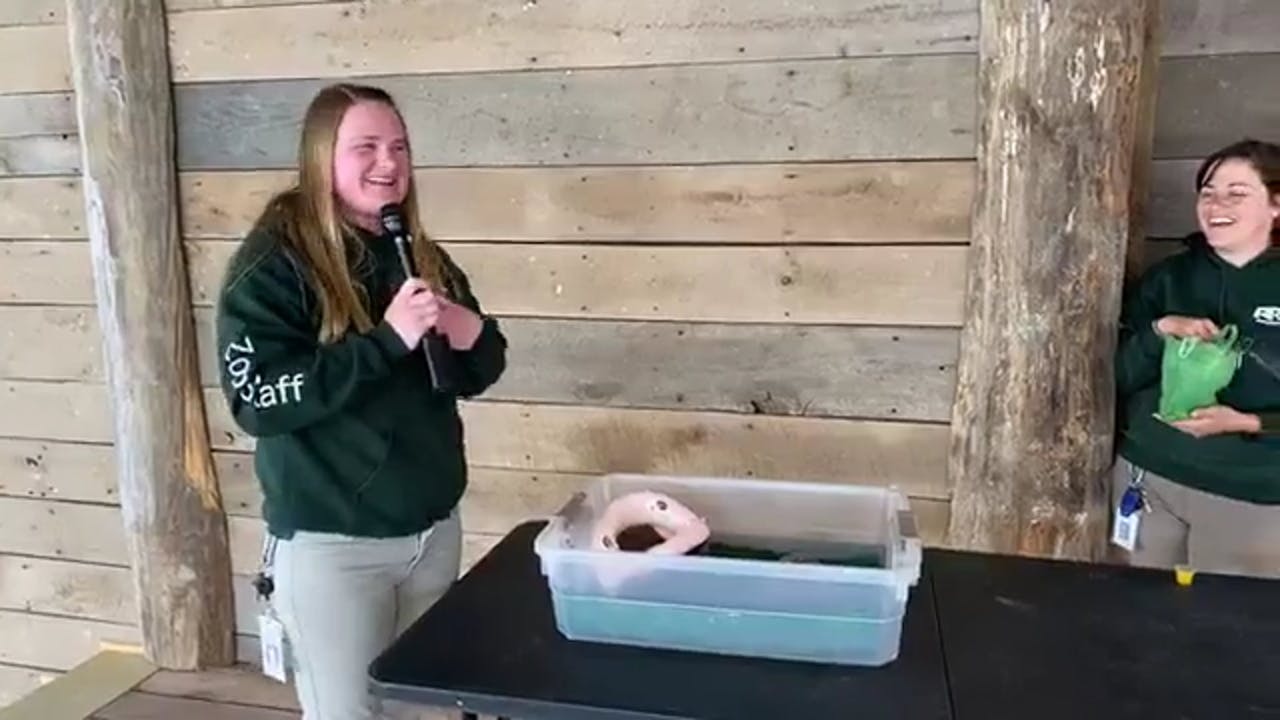 S1E27 Flying Marsupial - Season 1 - Answers.tv