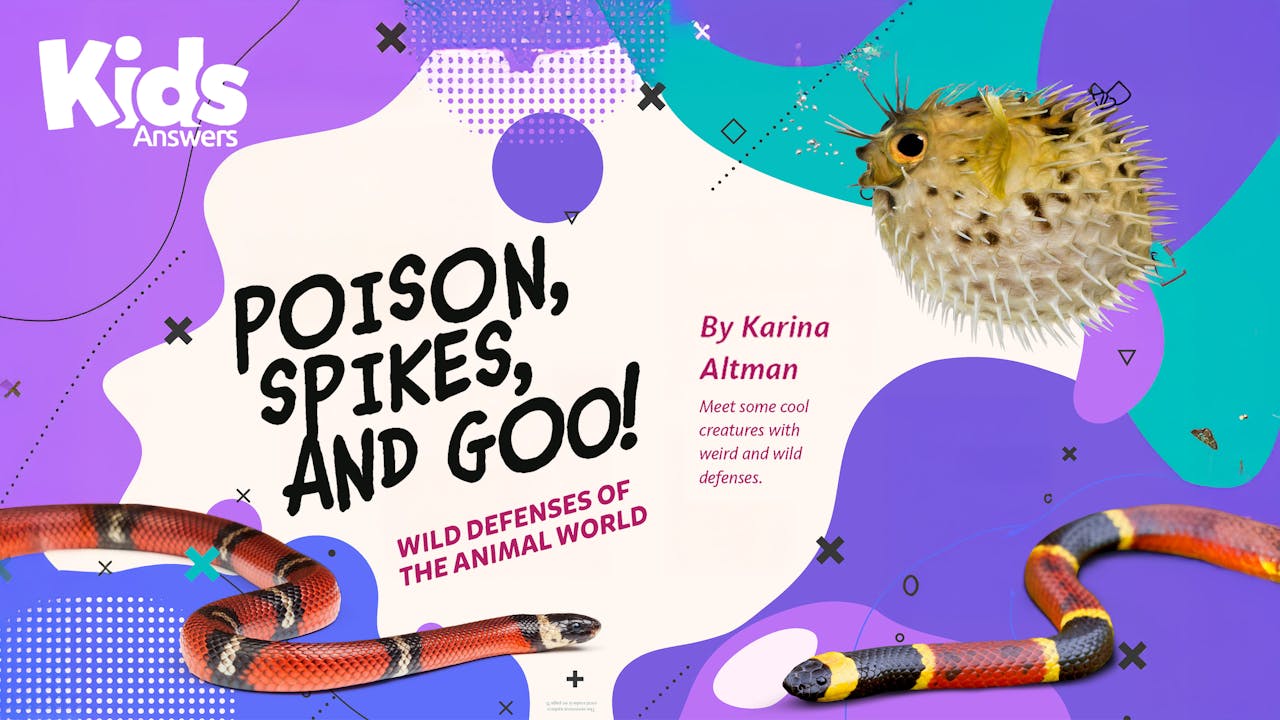 Poison, Spikes, and Goo (Kids Answers Audio Article) - Kids Answers ...