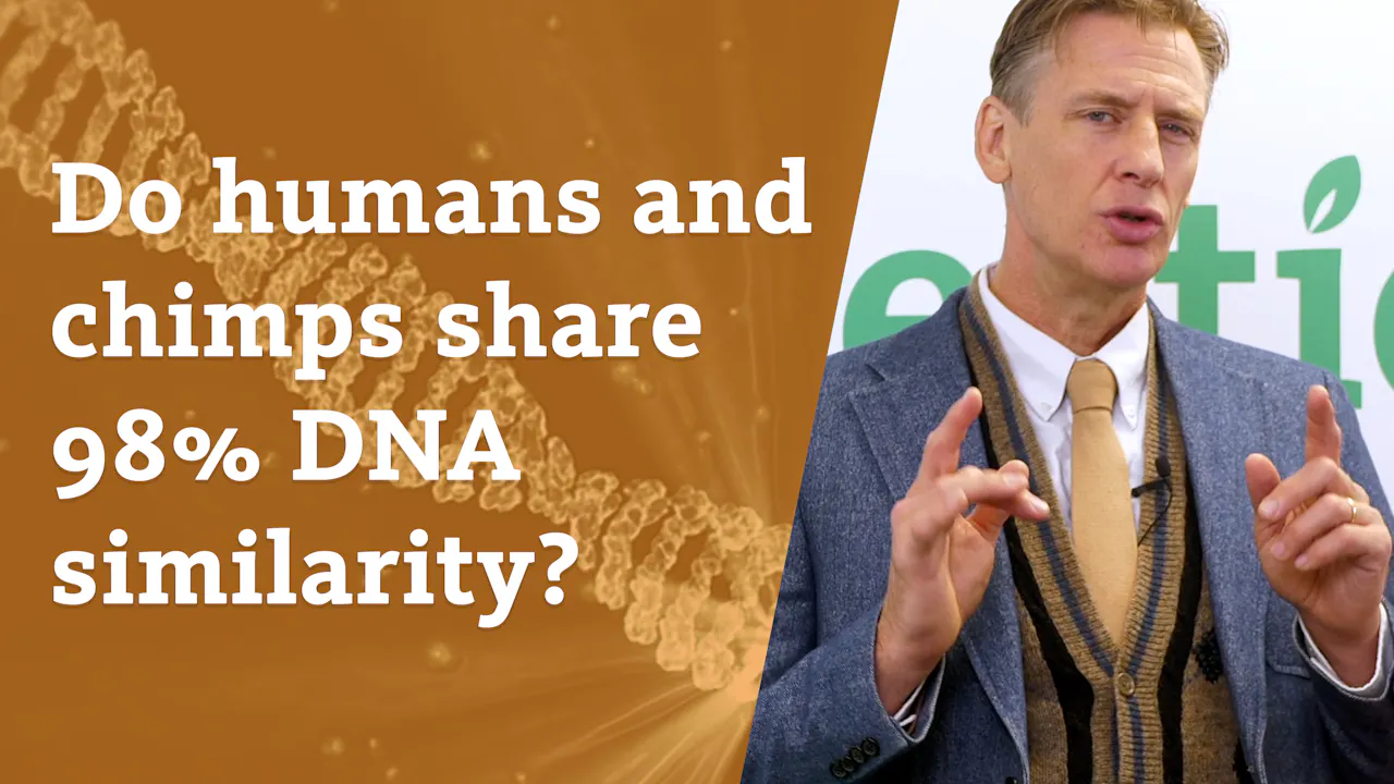 S4E17 Do humans and chimps share 98% DNA similarity? - Season 4 ...
