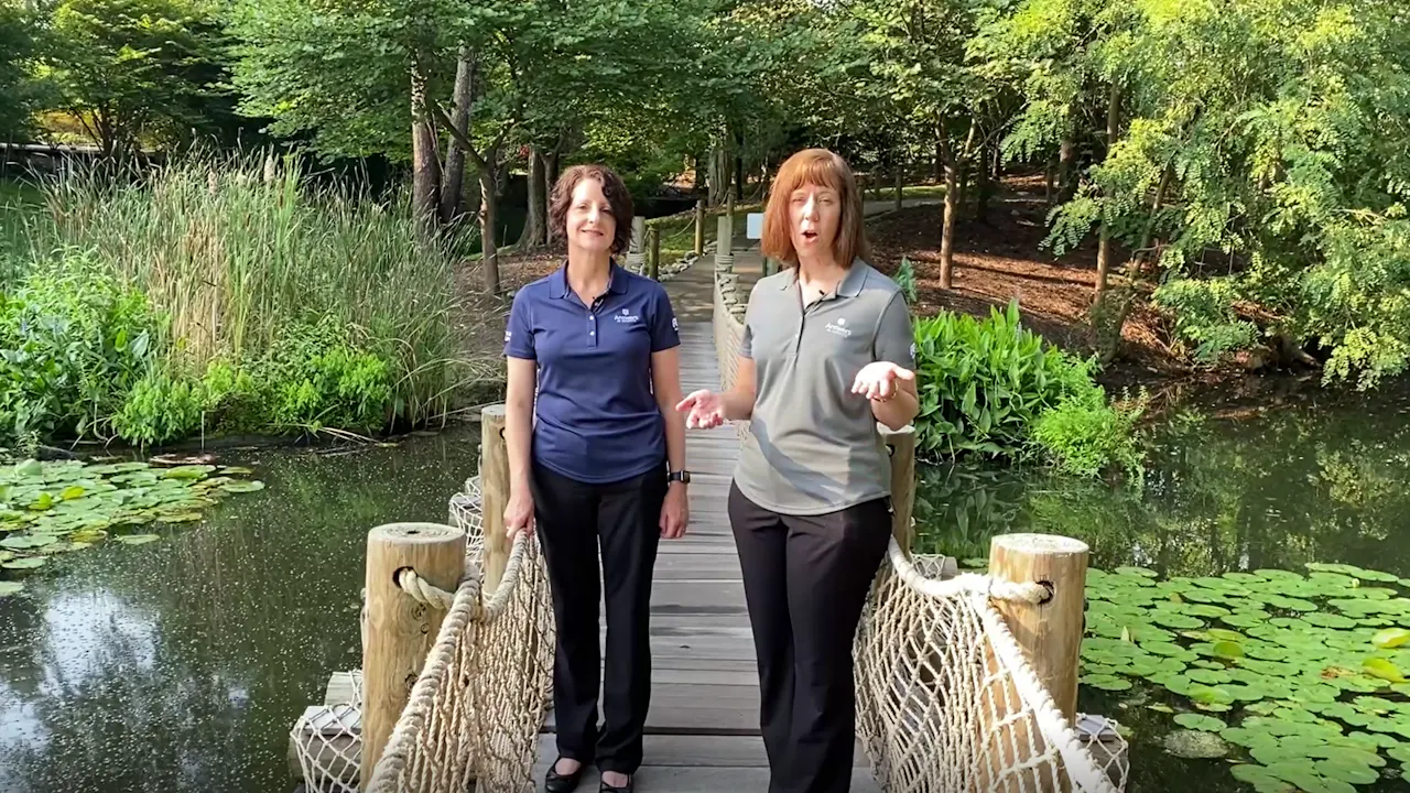 Homeschooling At The Creation Museum 2020 Answers Tv