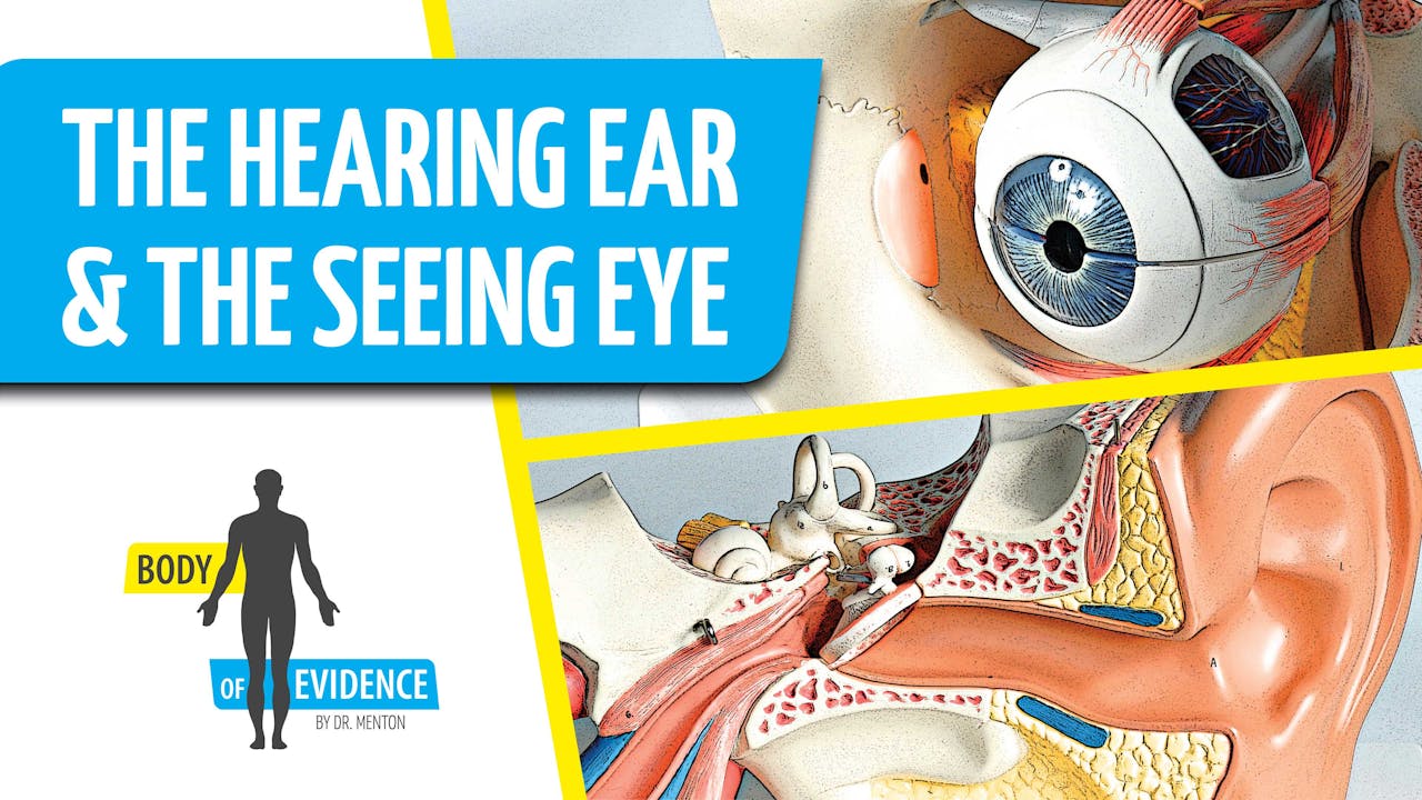 Seeing Eye - Answers.tv