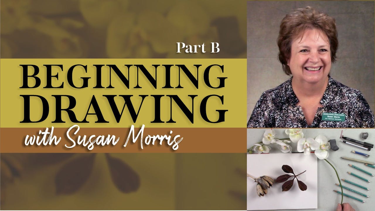 Beginning Drawing with Susan Morris Part B - Basic Drawing with Susan ...