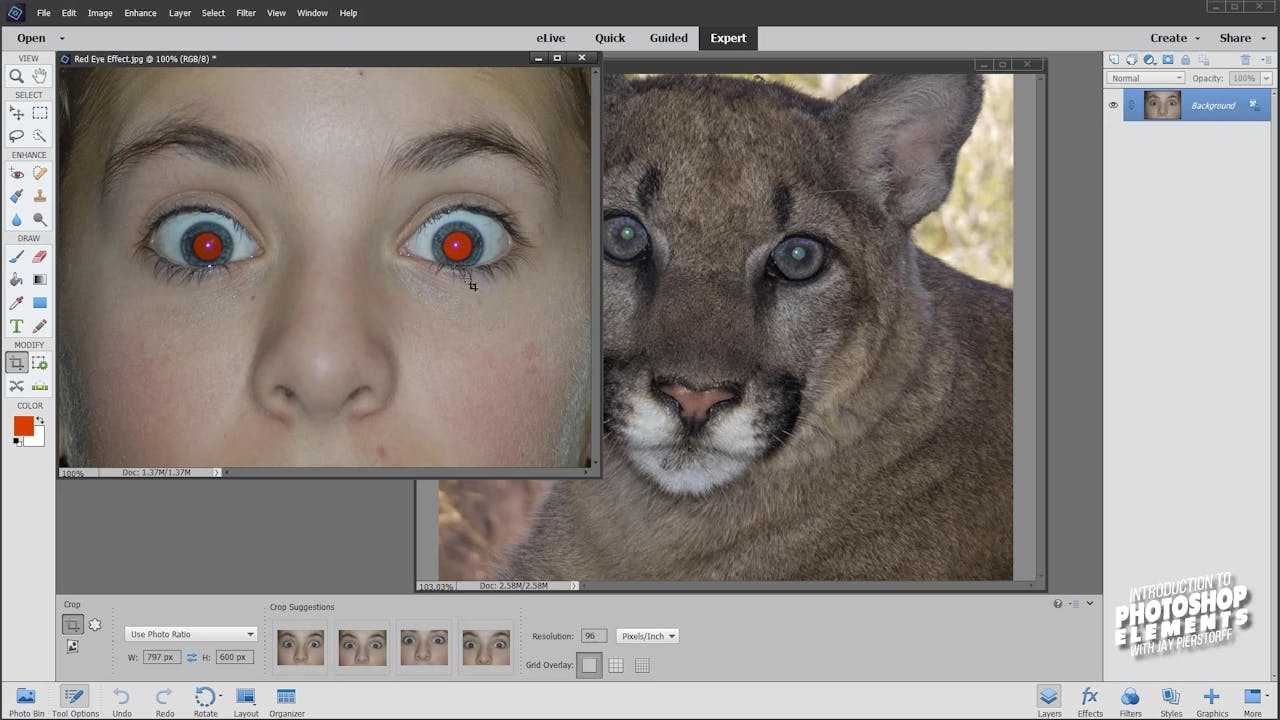 PSE-6 - The Red Eye Tool PSE - Arizona-Sonora Desert Museum Art Institute