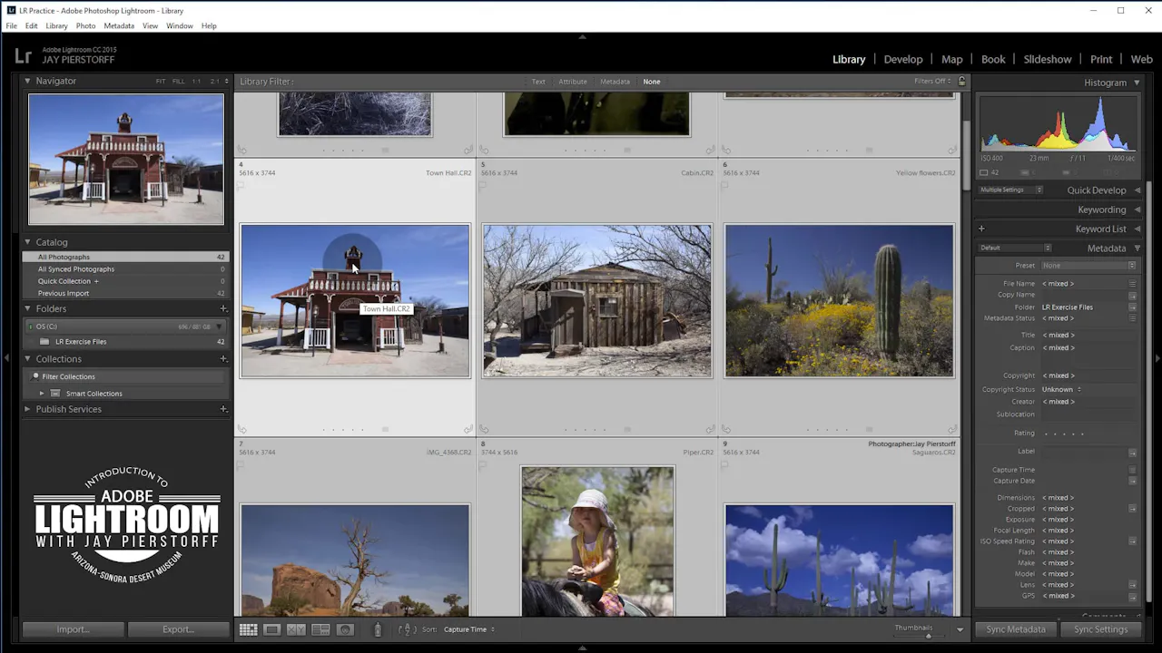 LR-19-Lens Correction Panel - Arizona-Sonora Desert Museum Art Institute