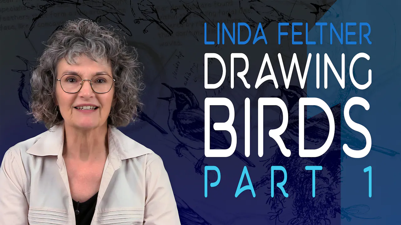 Part 1 - Drawing Birds with Linda Feltner - Drawing Birds with Linda ...
