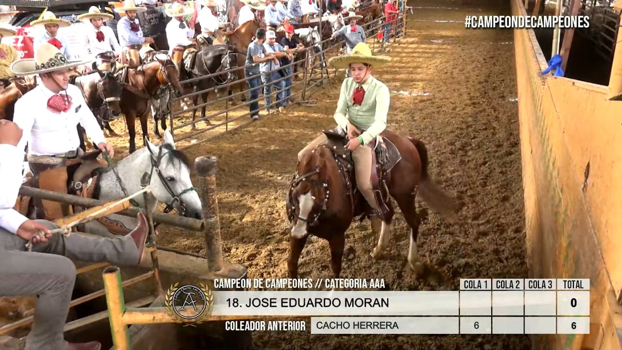 Coleadero AAA (Bloque 1) - 2023 - ArrieroTV