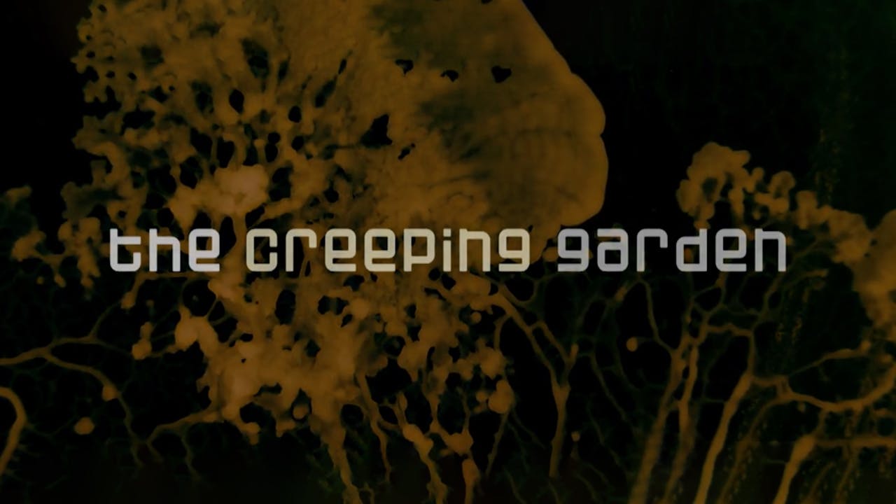 The Creeping Garden - Trailer - ARROW