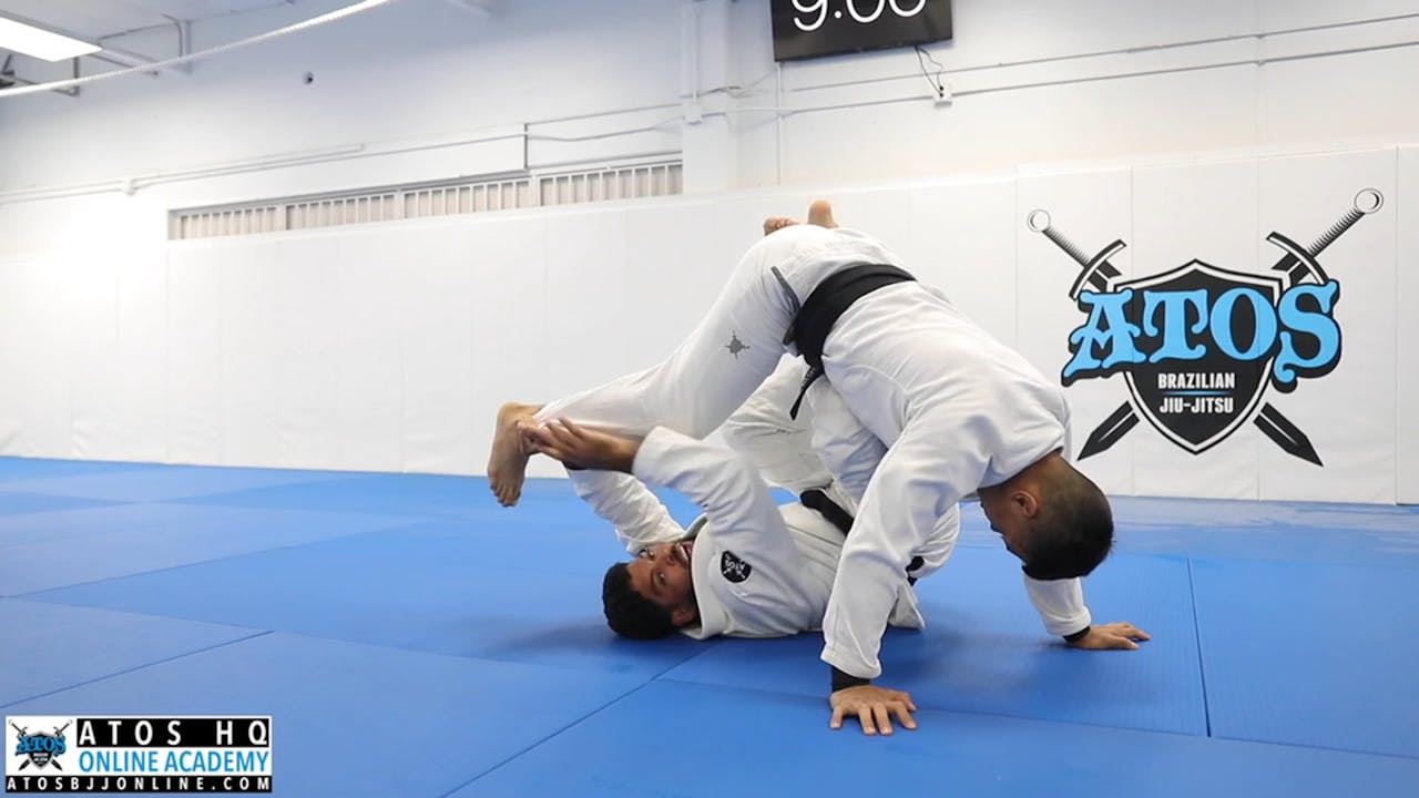 Leg Entanglement Entries from One Leg X and DLR + Back Take - Andre ...