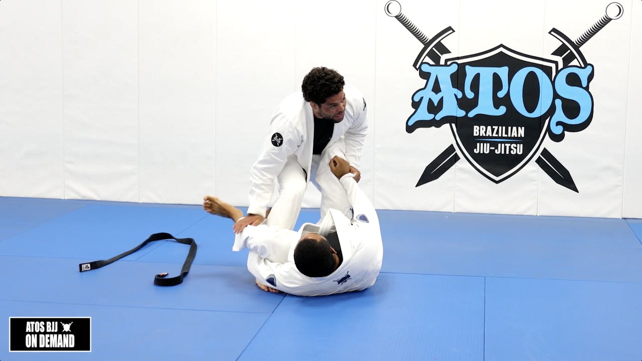 Step Over Pass from DLR Guard with Options to Long Step or Reverse Step ...