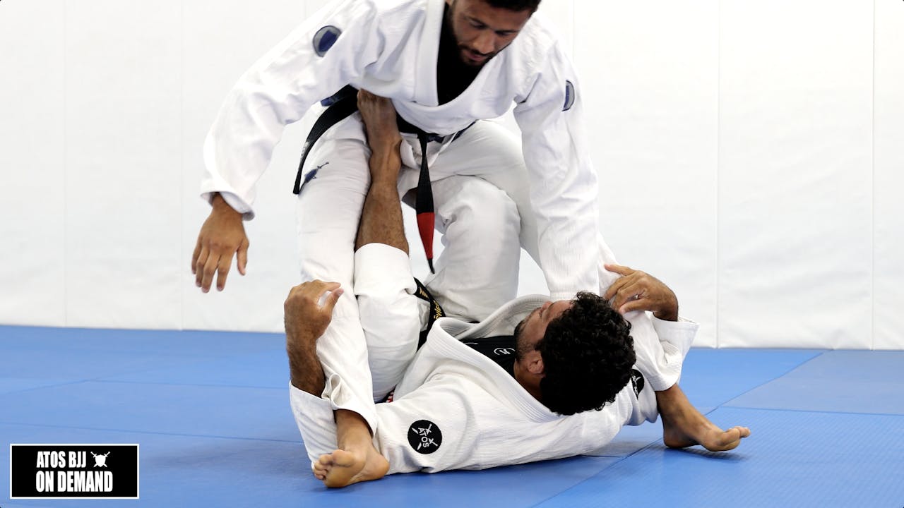 Mantis Guard Using Deep DLR Hook to Waiter Position/Sweep Variations ...