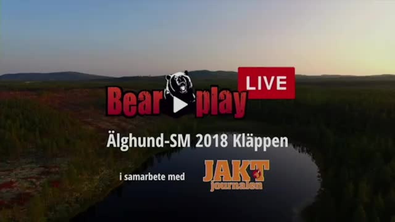 Älghund-SM 2018 : Sammandrag - Älghund-SM 2018 - Bearplay | Jaktfilm