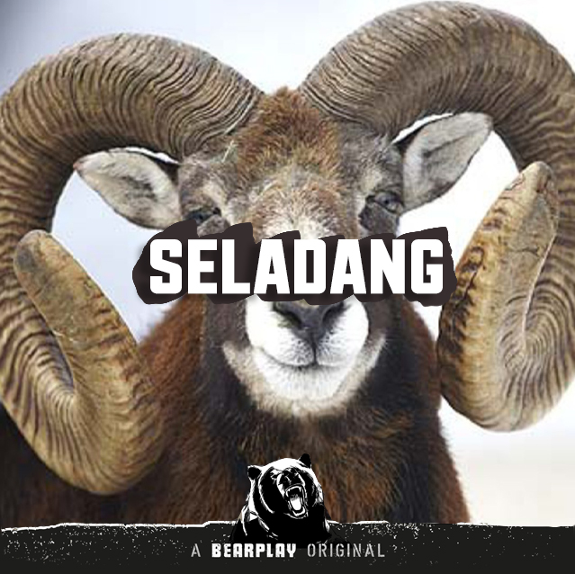 Seladang - Bearplay | Jaktfilm