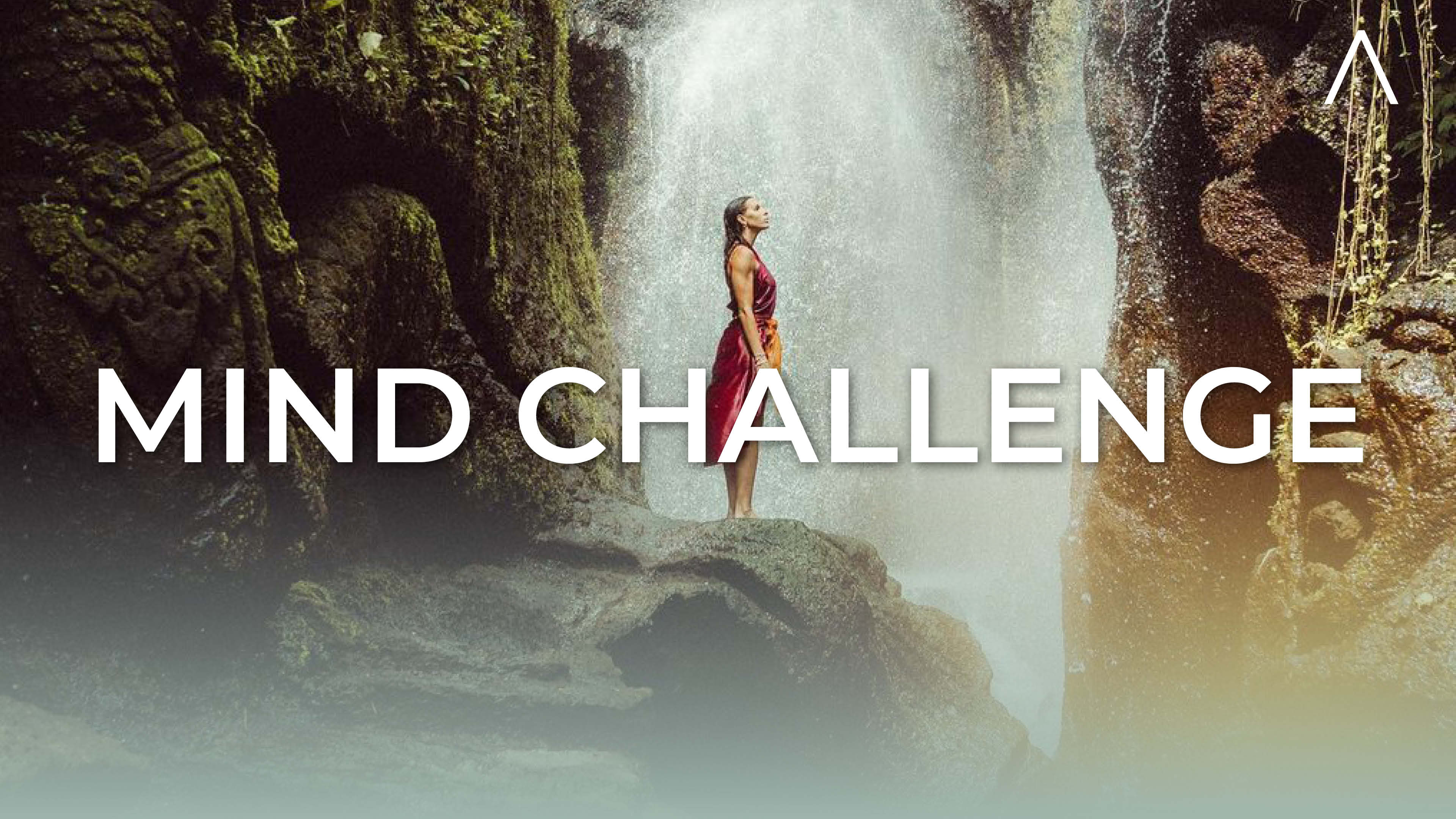 Mind Challenge - Arya Training